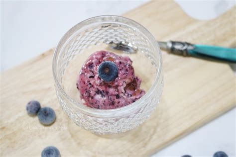 홈메이드 블루베리아이스크림