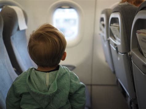 Tag Koti Perhe Matkustus Minnean Muruja Lily