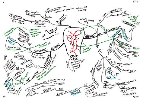 Mind Maps Pathology Nervous System Pdf