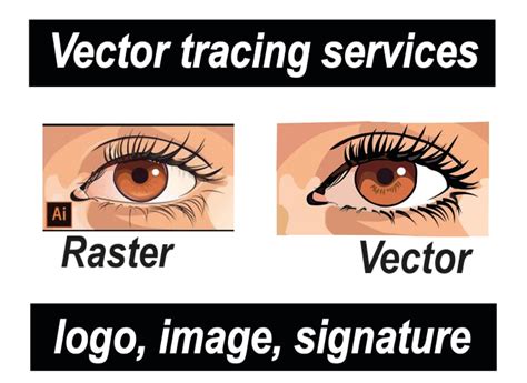 Do Vector Tracing Convert Logo Image Into Vector By Hadiqa Amir Fiverr