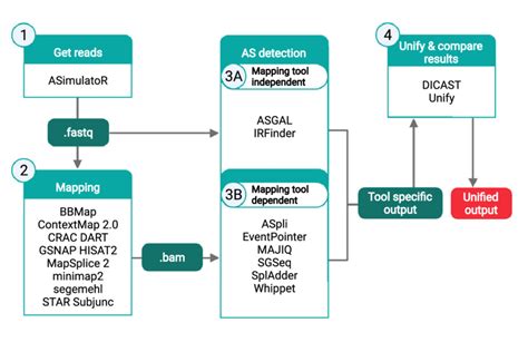 Dicast Frame Wor K 1 Sim Ulated Asim Ula Tor Or User Provided Fastq Download Scientific