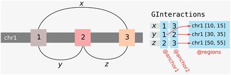 Orchestrating Hi C Analysis With Bioconductor 2 Hi C Data Structures In R