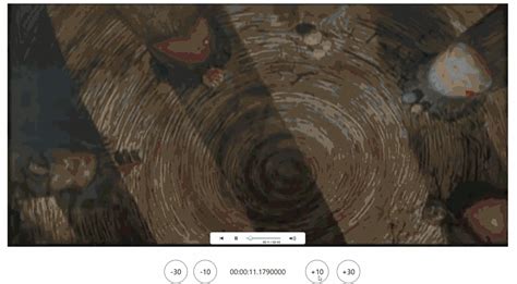 Tips How To Fast Forward A Video By 10 Seconds Best Practices Tips