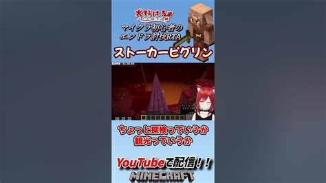 【minecraft】ピグリンにストーカーされるw エンドラrta マイクラ初心者 マインクラフト Minecraft エンドラ討伐