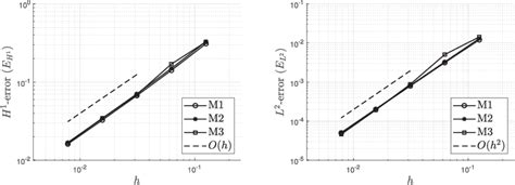 Figure 4 From A Nonconforming Immersed Virtual Element Method For