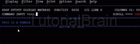 Cobol Evaluate Statement — Syntax With Examples Tutorialbrain