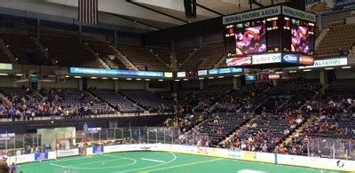 Which Manufacturers Offer Led Floodlights Suitable For Cfg Bank Arena