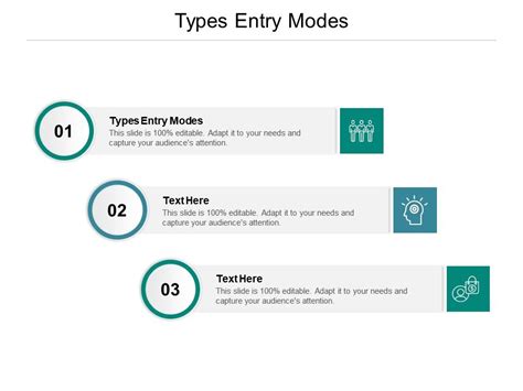 Types Entry Modes Ppt Powerpoint Presentation Infographic Template Templates Cpb Presentation