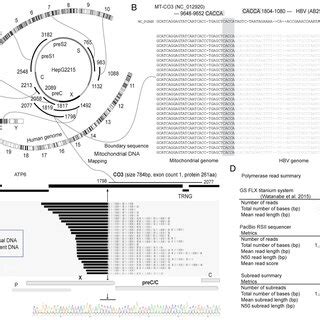 Schematic Representation Of NGS Data A Overview Of NGS Data From The Download Scientific