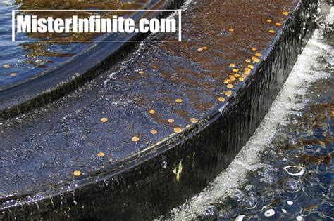 How Extra Revenue Streams Change Your Life MISTER INFINITE