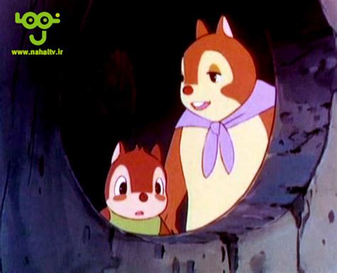 بنر سنجاب کوچولو شبکه نهال