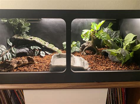 Is This Enough Clutterrate My Set Up Rballpython