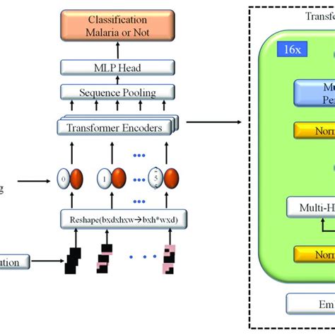 Compact Convolutional Transformer Cct Model Architecture Download Scientific Diagram