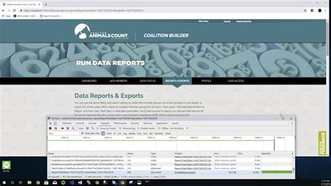 ReportExport YouTube