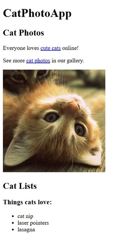 Webdevelopment Html Codingjourney Catphotoapp Freecodecamp
