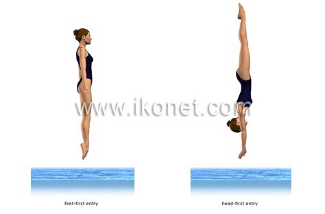 Sports And Games Aquatic And Nautical Sports Diving Examples Of