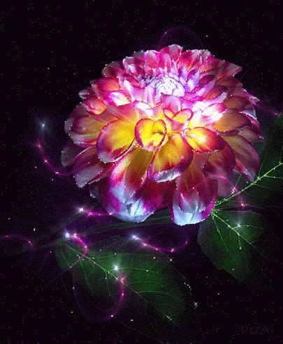 Flowers Animated  Emoticons Animated S Collections