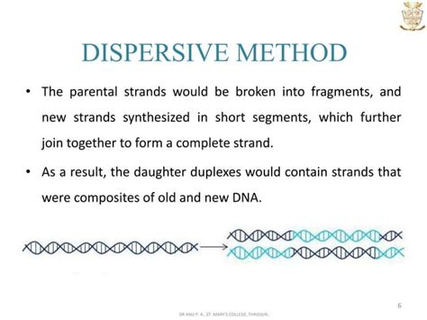 Dna Replication Prokaryotes Ppt