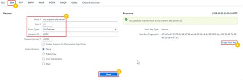 Receiver Sftp Adapter Configuration Sap Integration Suite Cpi And Pi