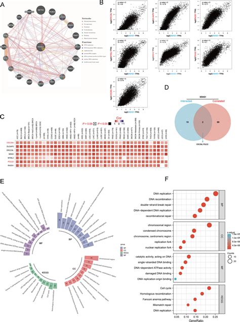 Functional Enrichment Analysis Of Wdhd1 Co Expressed And Interacted