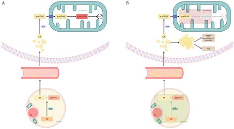 Metabolic Alterations In Sepsis