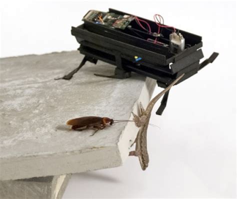 Search And Rescue Robot Takes Inspiration From Cockroaches And Geckos