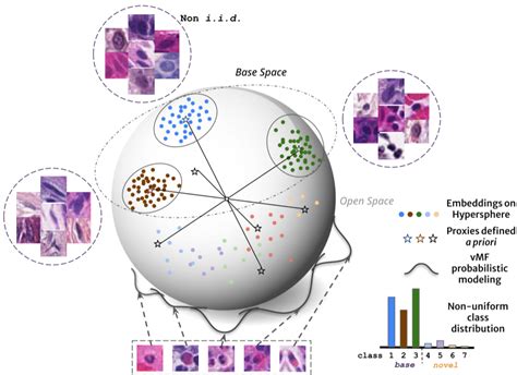 논문 리뷰 Seeing Unseen Discover Novel Biomedical Concepts Via Geometry