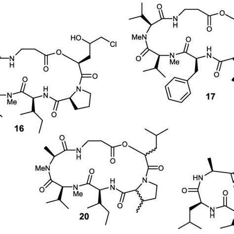 Structures Of Cyclo L Leu L Pro 1 Cyclo L Phe Trans 4 Oh L Pro