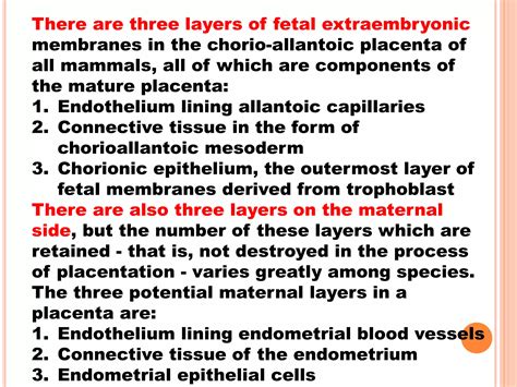 Placenta Structure And Classification Ppt