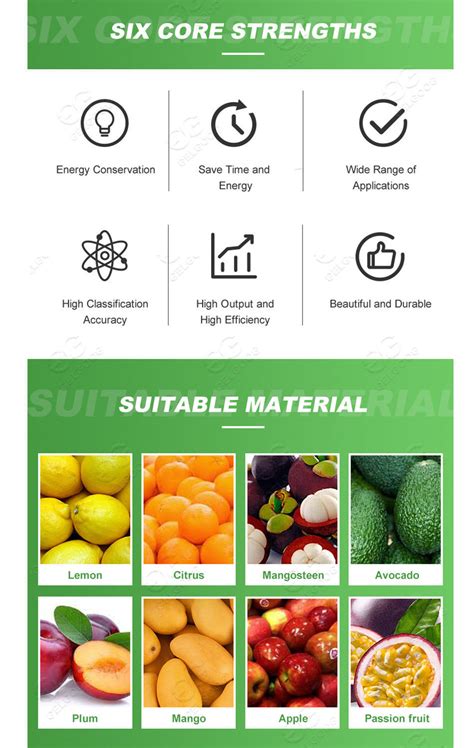 fully automatic fruit grading machinery factory price expore china