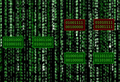 The Bitcoin Blockchain Ecosystem Is Big By Tradersdna