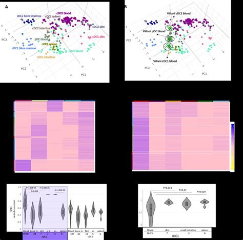 Tissue Specific Behaviour Of Dc A Stemformatics Dc Atlas Cluster By Download Scientific
