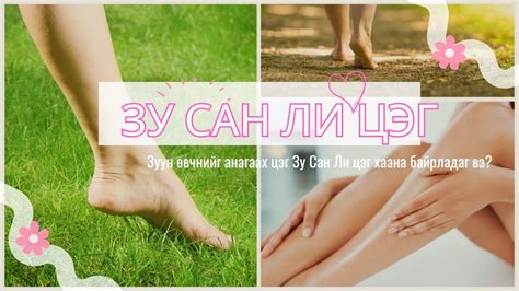 ♡Зуун өвчнийг анагаах цэг Зу Сан Ли цэг хаана байрладаг түүнд хэрхэн дарлага хийх вэ💗🌷 Youtube