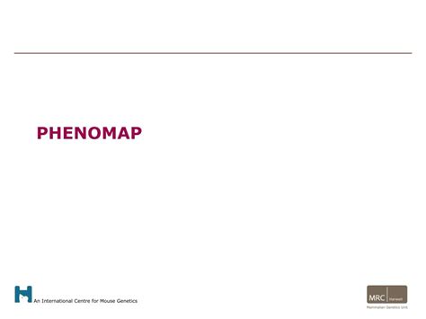 Ppt Mining Phenotype Databases To Identify Mouse Models Of Clinical
