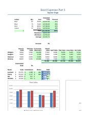 Singh Excel Capstone Part 1 Xlsx Excel Capstone Part 1 Rajveer Singh Colour Red Blue Red Green