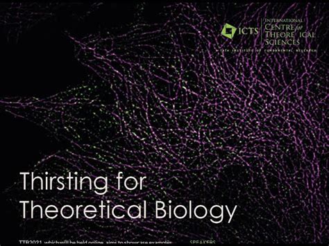 Free Video Turings Reaction Diffusion System And Agent Based Models In Biology Lecture 2