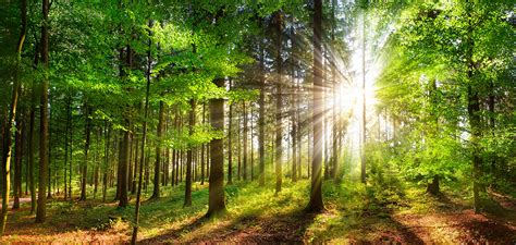 Vignal Group Specialist Of Lighting And Safety For Industrial And Commercial Vehicles Vignal Group