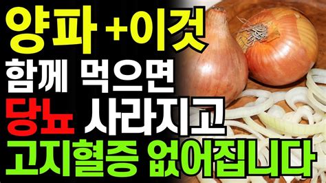 양파 이것과 먹지 마세요 이렇게 먹으면 당뇨 치매 사라집니다 기적의 건강 레시피 양파와 함께 먹으면 최고의 음식 3가지와 최악의 음식 양파 기적의 효능