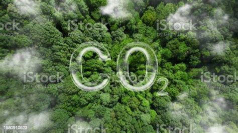 Co2 배출량을 줄여 기후 변화와 지구 온난화를 제한합니다 숲과 Co2 거품이산화탄소 Co2 분자 낮은 온실 가스 수준 탈탄소화