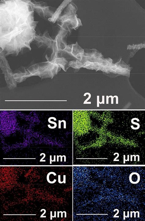 Sem Images And Edx Element Sn S Cu And O Mappings Of The