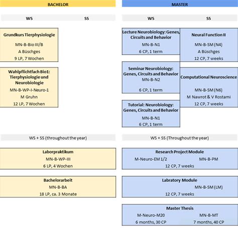 Undergraduate And Graduate Teaching Computational Systems Neuroscience