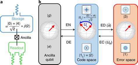 Schematic Of The Experiments On Binomial Quantum Code A The