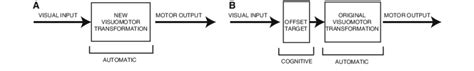 Conceptual Models For Visuomotor Adaptation A Visual Feedback Of Task Download Scientific