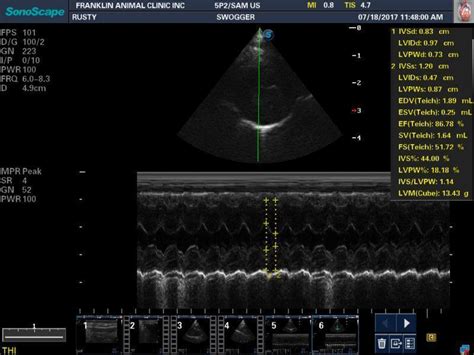 Cat W Ascites Members