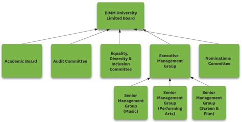 Governance Framework Bimm University