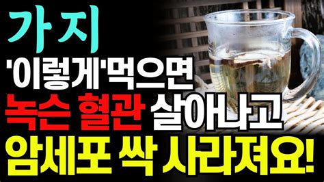 가지 볶지말고 이렇게 먹으면 죽은 혈관이 살아나고 암세포 싹 사라집니다 최고의 음식 3가지와 특급 레시피 골다공증에 좋은 음식 항암 치매 음식 당뇨에 좋은 음식