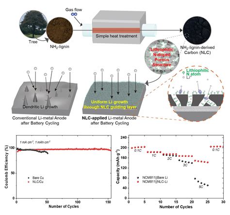 Volume 19 Issue 1 Article Issues Bioresources