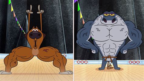 Zig E Sharko 🌴 Quem é O Verdadeiro Herói 🦸‍♂️ Zig E Sharko Brasil Desenho Animado Em