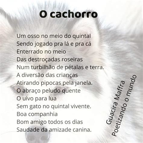 Poema O Cachorro Livros And Café 📕☕ Amino