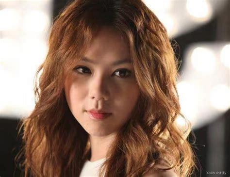 第十九章总结：java绘图 Csdn博客